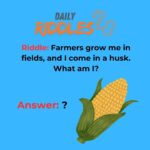 150 Best Corn Riddles With Answer to Crack the Cob - Daily Riddles